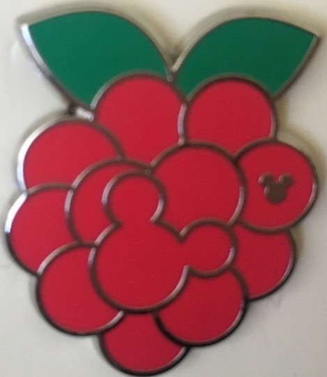 2017 Hidden Mickey - Fruit - Raspberry Completer | PIN 16666