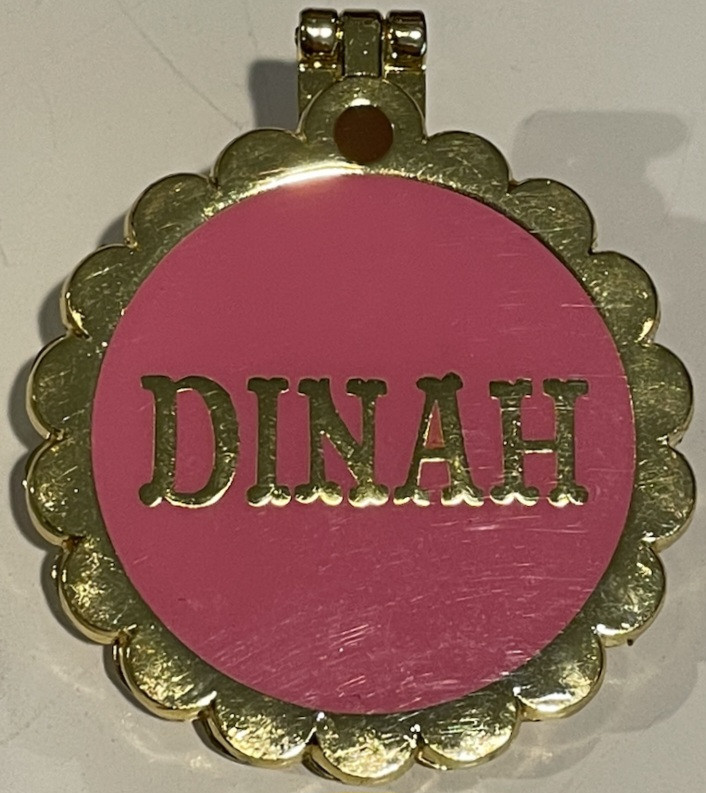 BoxLunch Exclusive - Disney Pets Hinged Name Tag Mystery Collection ...