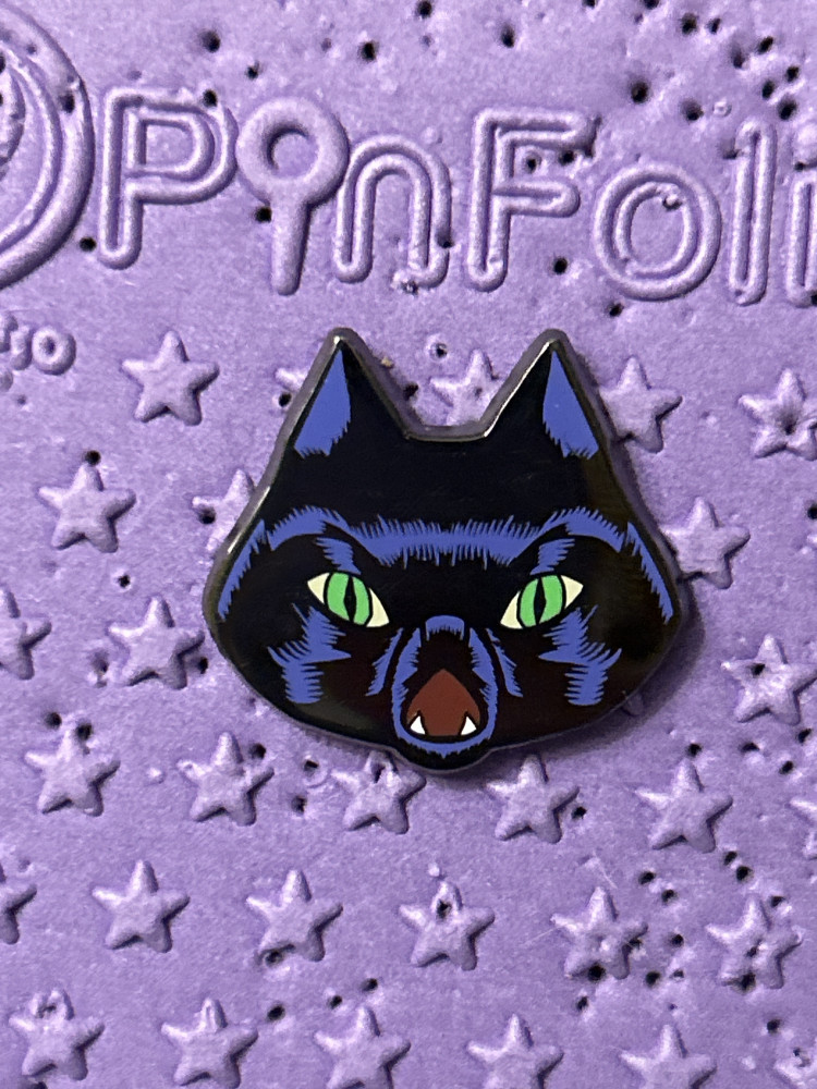 Hocus Pocus - Binx | PIN 85921